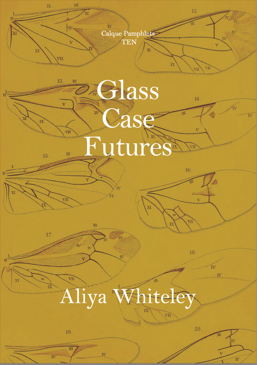 Pamphlet Ten - Glass Case Futures – Calque Press